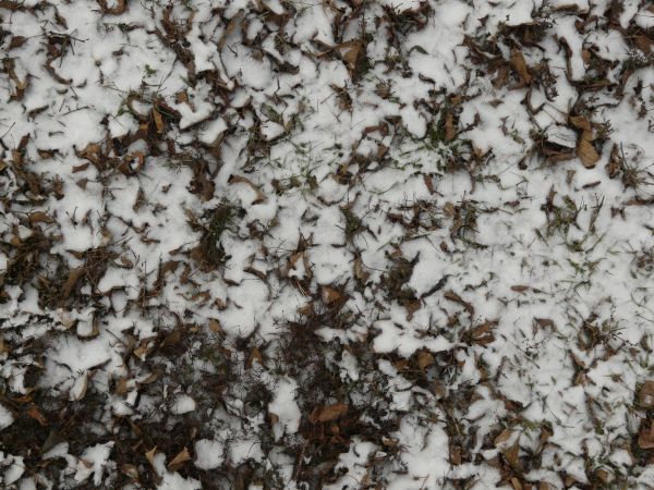 frozen ground texture 0036 - Texturelib